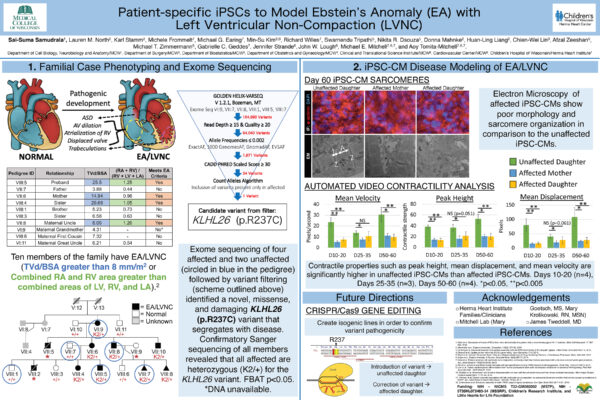 2020 Highlighted Posters – MWPCSociety